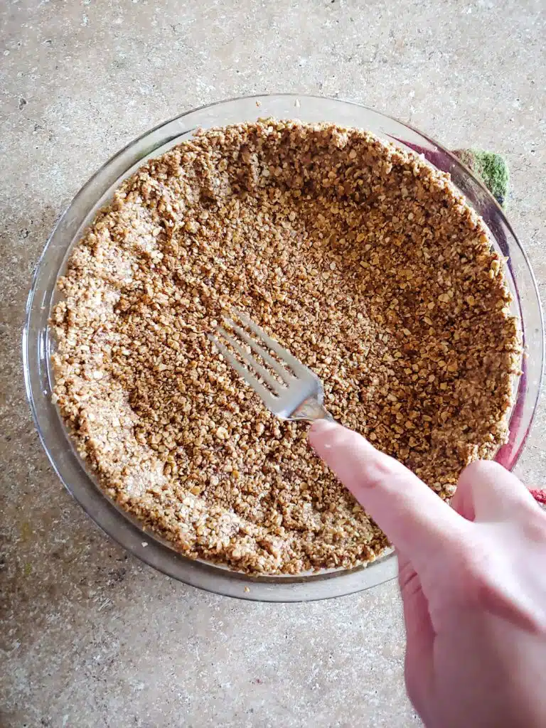 Cookie-Inspired Oatmeal Pie Crust