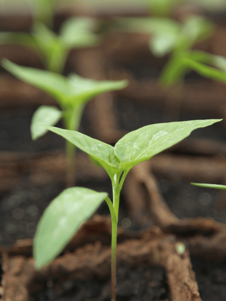 7 Powerful Ways to Live with the Seasons Any Day of the Year