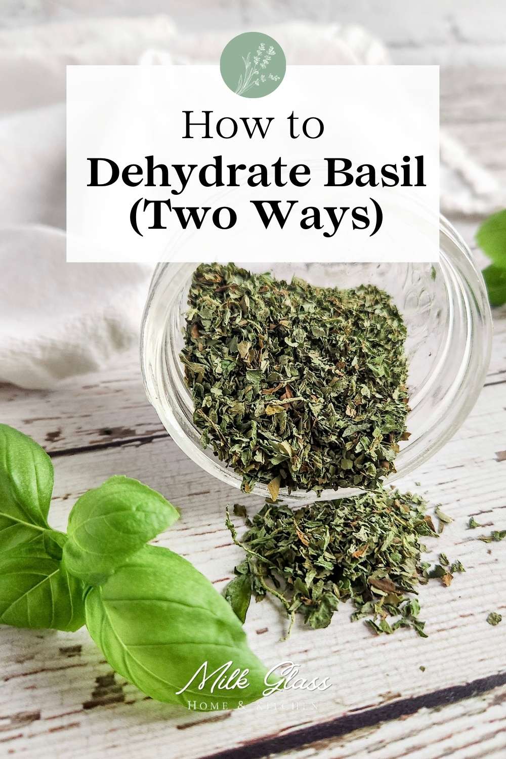 How to Dehydrate Basil (Oven & Dehydrator)