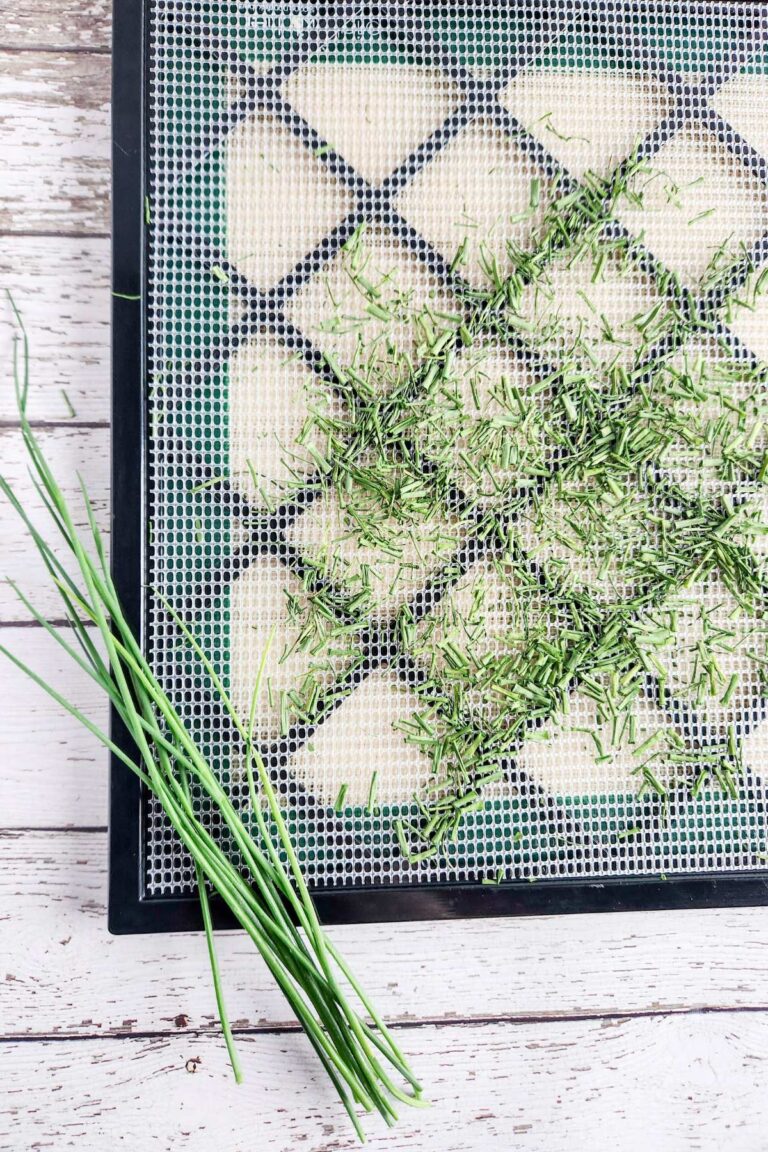 How to Dry Chives at Home (Oven or Dehydrator)