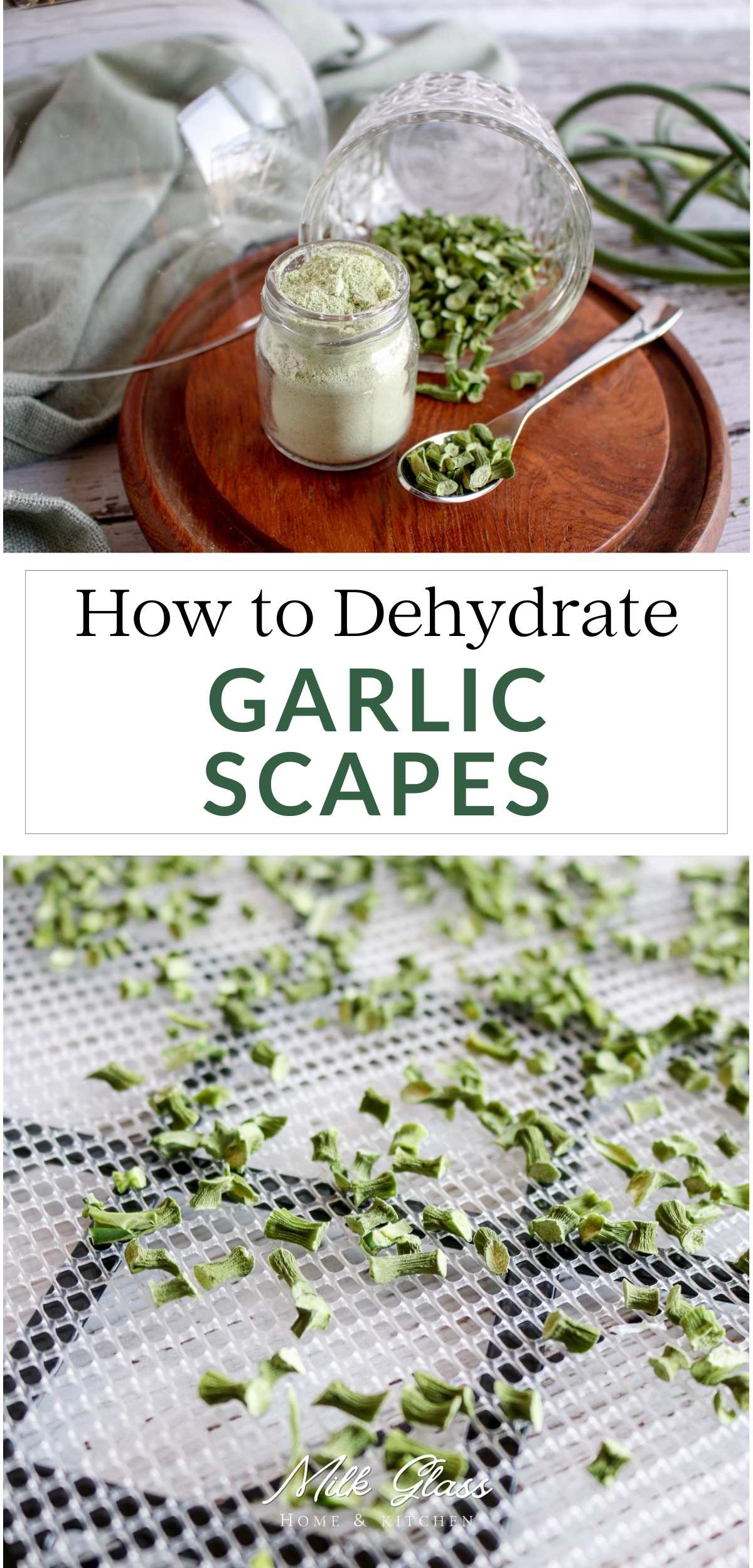 Dehydrating Garlic Scapes & How to Make Garlic Scape Powder