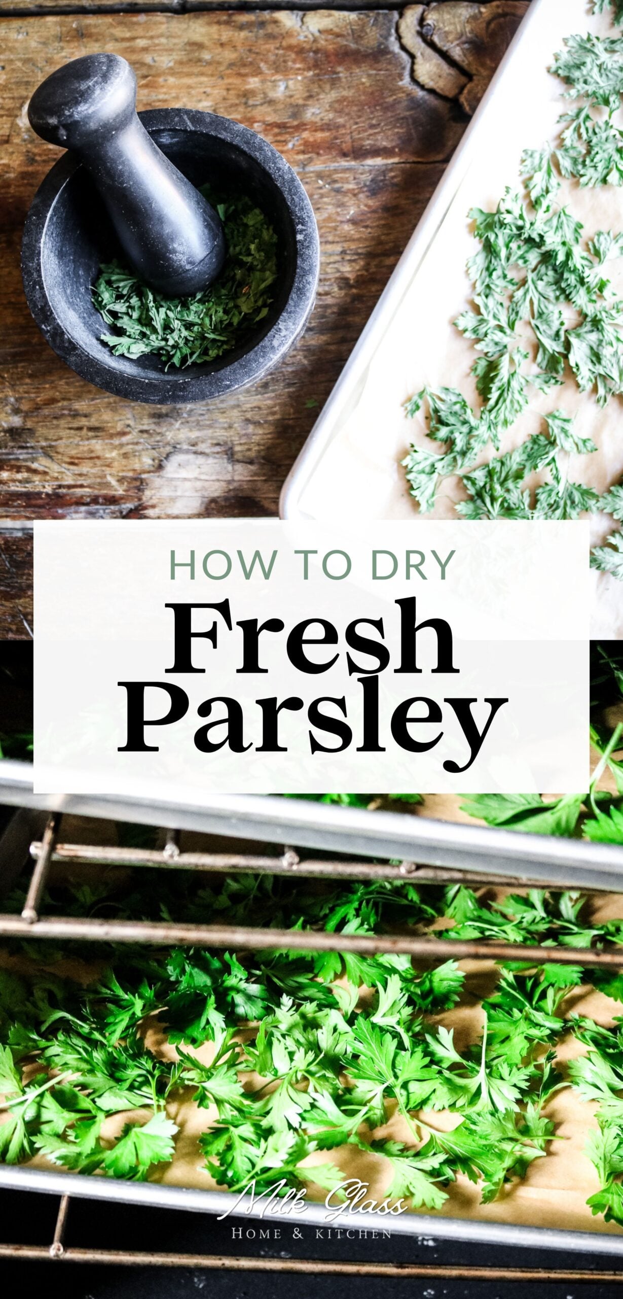How to Dry Parsley {Air Dry, Oven, or Dehydrator}