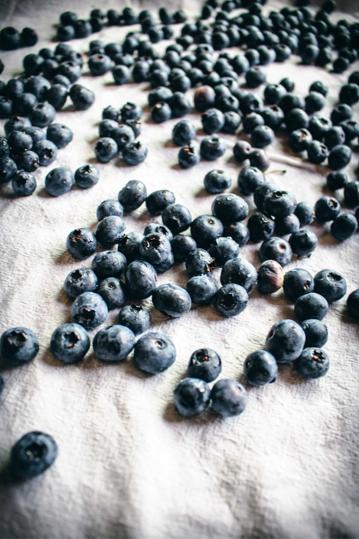 How to Freeze Blueberries Properly {Clean & Easy}