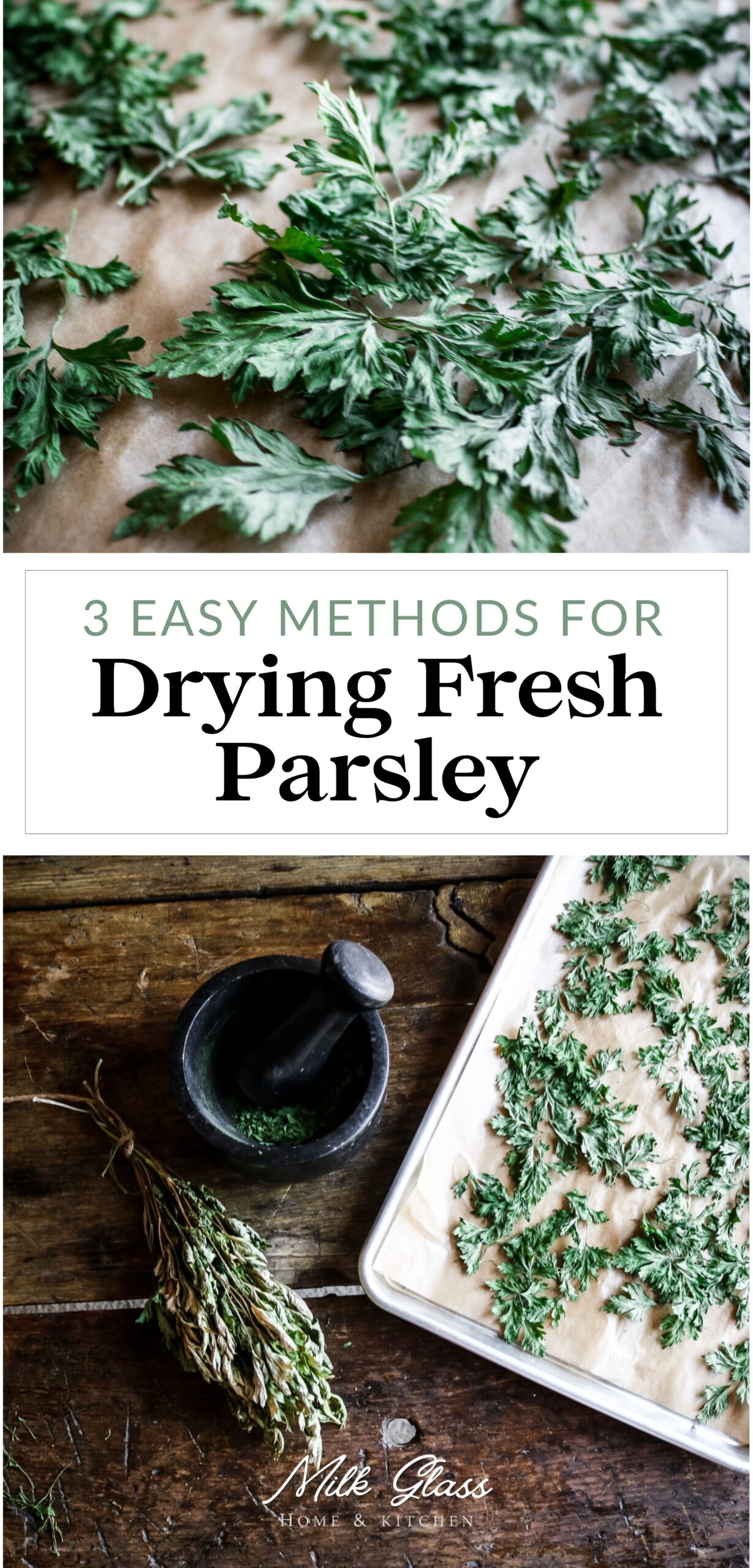 How to Dry Parsley {Air Dry, Oven, or Dehydrator}