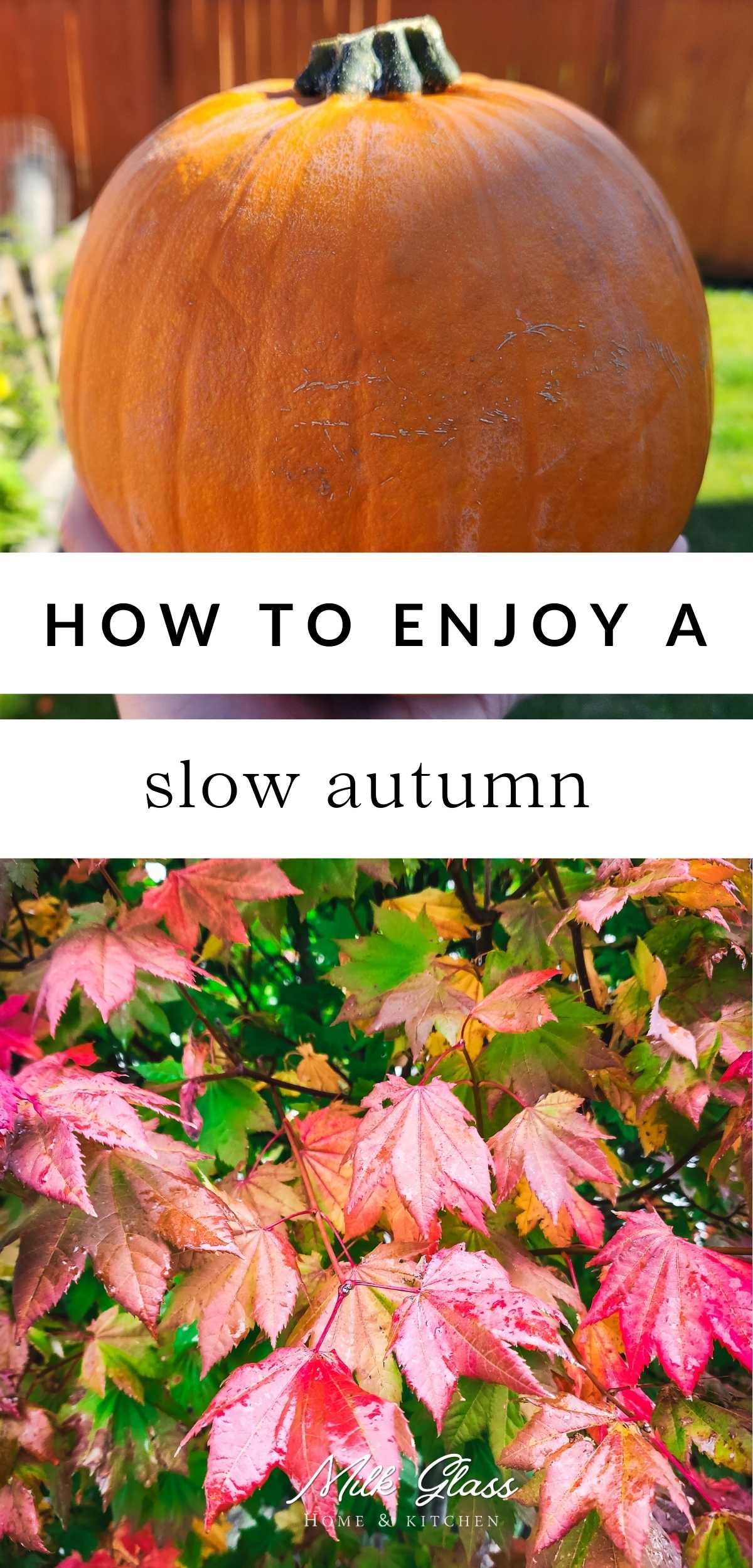 The Ultimate Guide to Slow Living in Fall