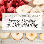 Freeze Drying vs Dehydrating: What's the Difference?