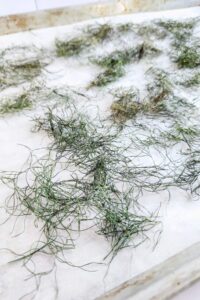 How to Dry Fresh Dill Fronds and Seeds {3 Methods}
