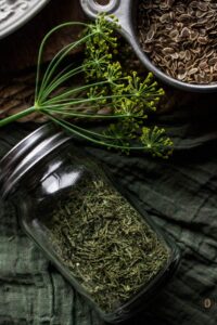 How to Dry Fresh Dill Fronds and Seeds {3 Methods}