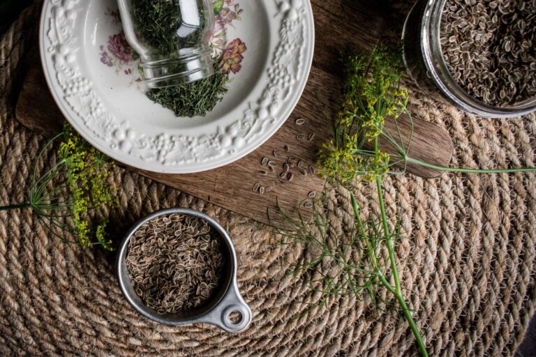 How to Dry Fresh Dill Fronds and Seeds {3 Methods}
