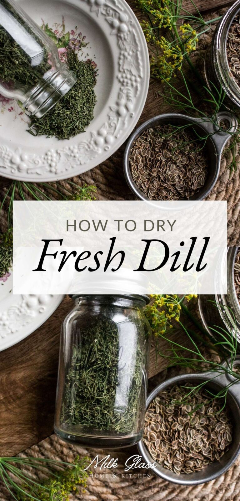 How to Dry Fresh Dill Fronds and Seeds {3 Methods}
